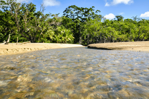 What is there to do at Cow Bay Beach?