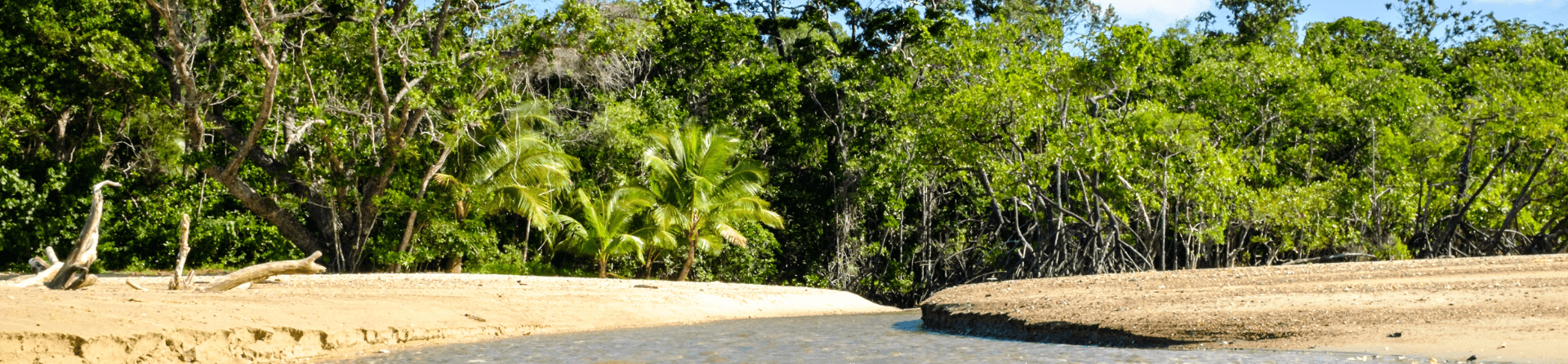 What is there to do at Cow Bay Beach?