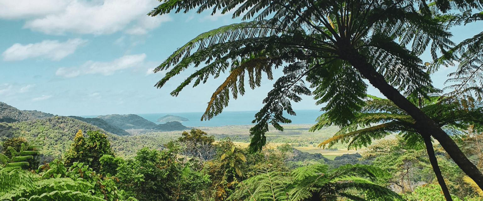 Aboriginal Culture of the Daintree Rainforest